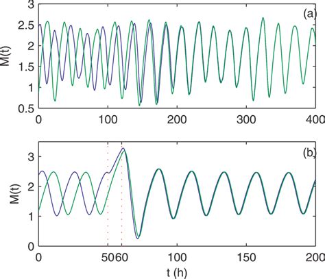 Synchronization Of Two Goldbeter Circadian Oscillators A Induced By Download Scientific