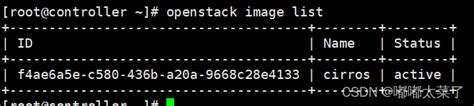 【openstack train安装】九、nova安装 csdn博客