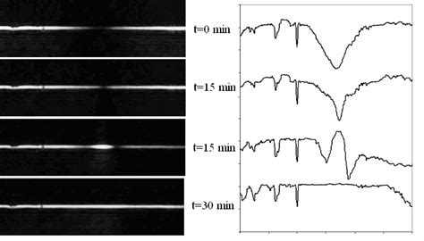 Light Field Patterns And Corresponding Intensity Profiles For The