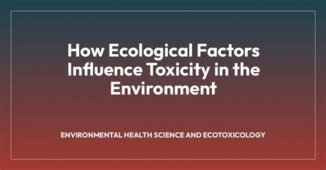 How Ecological Factors Influence Toxicity In The Environment
