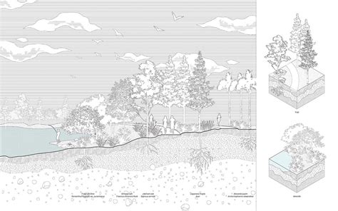 Vector Landscape Illustration Bundle Landscape Architecture Drawing Landscape Architecture
