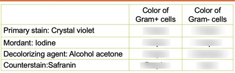 Mcb Lecture 4 Diagram Quizlet
