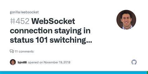 WebSocket Connection Staying In Status 101 Switching Protocols Issue 452 Gorilla Websocket