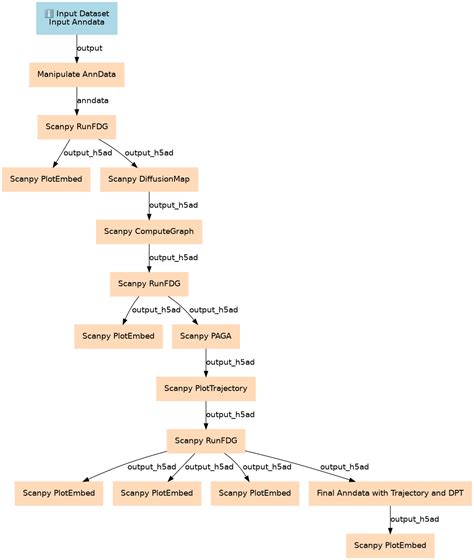Inferring Trajectories With Scanpy Tutorial Workflow