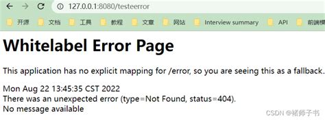 springboot 41 默认异常处理机制 极客之音