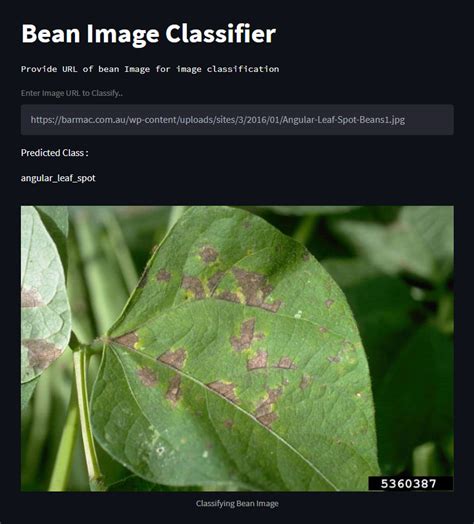 github siddharthcmd deeplearning streamlit app in this i have made a
