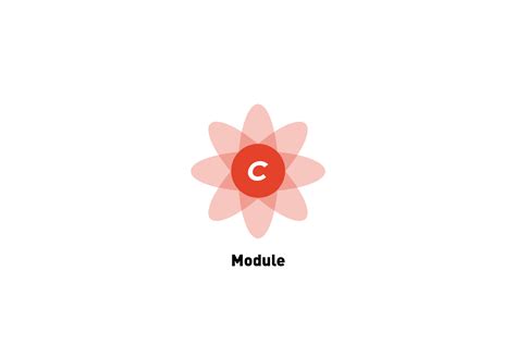 How To Create And Setup A Craft Cms Module