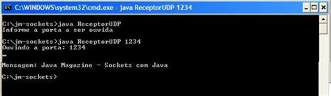 Java Sockets Criando Comunicações Em Java Devmedia