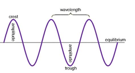 Propagation Of Transverse Waves Study Page