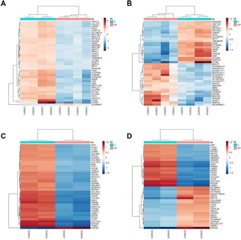 Differential Rna Seq Feature Counts For Both Emca Cell Lines A Download Scientific Diagram