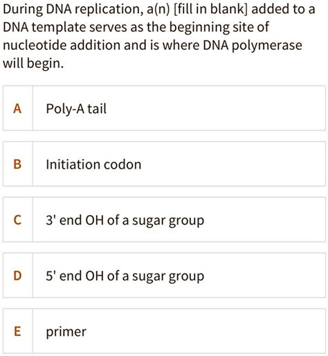 Solved During Dna Replication A N [fill In Blank] Added To A Dna Template Serves As The