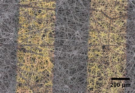 Mesh Structure Of Ultrathin Po Image Eurekalert Science News Releases