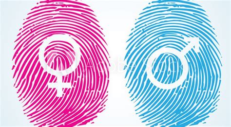 Sexo Género E Identidad De Género Una Reevaluación De La Evidencia
