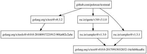 Go Module 依赖关系的可视化 基于 GO 开发的一个小工具 go mod graph CSDN博客