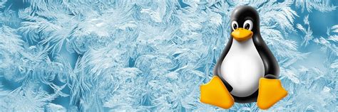 Linux Servers And Splunk You Cant Really Work Splunk Without Linux Commands Can You