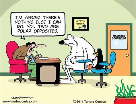 Punny Polar Bear And Penguin Are Polar Opposites Cartoon Funny Humor