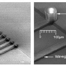 SEM Images Of An Array Of Download Scientific Diagram