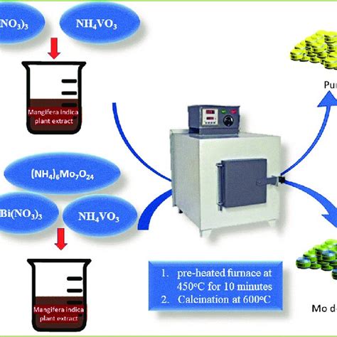 Graphical Illustration Of Synthesis Of Mo Doped Bivo 4 Download