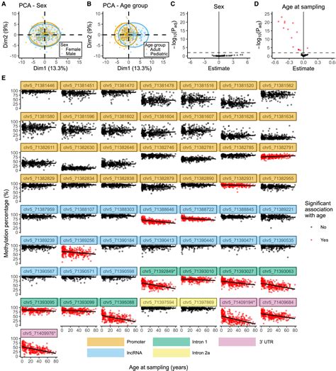 Comprehensive Analysis Across Smn2 Excludes Dna Methylation As An