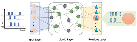 liquid neural networks simple implementation by abdulkader helwan