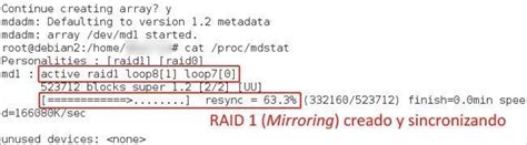 Raid Mirroring Linux Creado Y Sincronizando