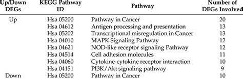 A Table Of Significantly Enriched Pathways Pathways With More Than 10
