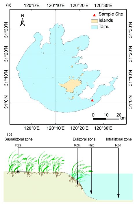 A Location Of Sampling Site In Lake Taihu China B The Download Scientific Diagram