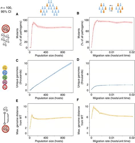 Population Size And Structure Affect The Distribution And Dimensions Of Download Scientific