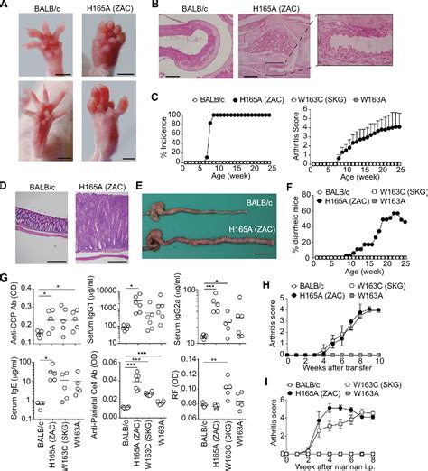 Figure 2 From Construction Of A T Cell Receptor Signaling Range For