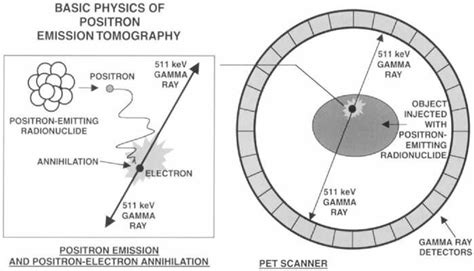 basic physics of positron emission tomography download scientific diagram