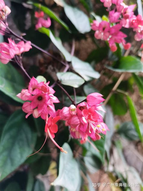 设计生活说：在路上 知乎