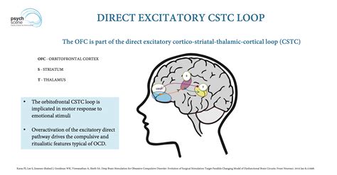 Ocd Brain