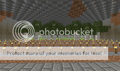 Tree Farm Tips Survival Mode Minecraft Java Edition Minecraft Forum Minecraft Forum