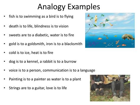 Analogy Examples Analogy Examples