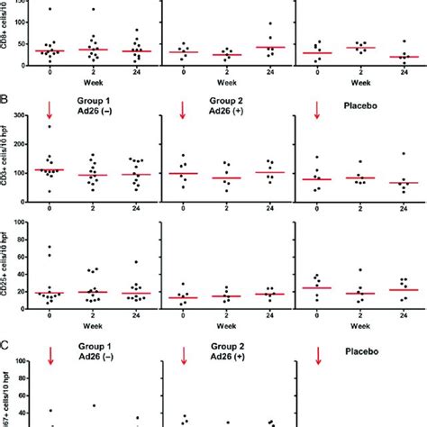 Colorectal Histopathology Colorectal Histopathology Evaluation Showing