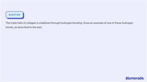 ⏩solvedthe Triple Helix Of Collagen Is Stabilized Through Hydrogen