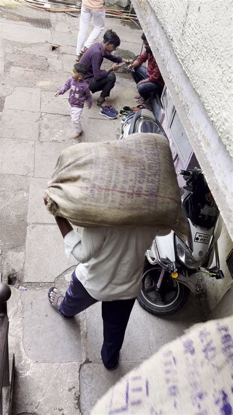 How To Use The Sack Detection Object Detection Api