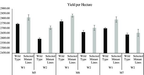 Comparison Of Yield Per Hectare Of Selected Mutant Lines Vs Wild Type