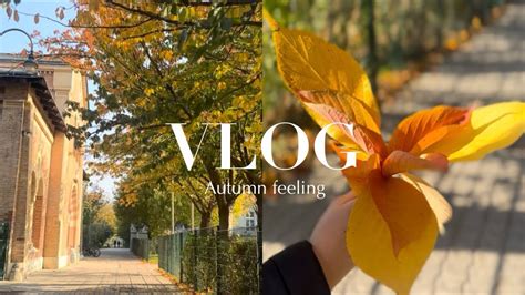 가을감성 Vlog 딸과 함께하는 힐링영상 Youtube