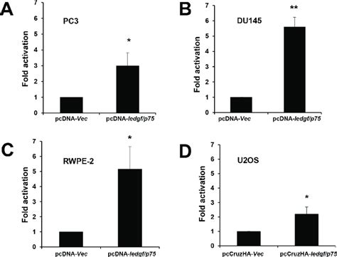 Ledgf P75 Transactivates Erp57 Promoter In Luciferase Based Download Scientific Diagram