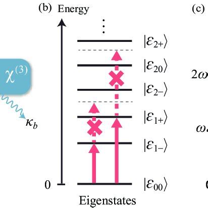 A Schematic Diagram Of The Coupled Cavity Model Composed Of A Linear Download Scientific