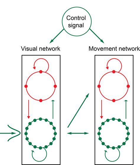 Visual Search And Cognitive Control Of The Speed Accuracy Trade Off H2020 Cordis