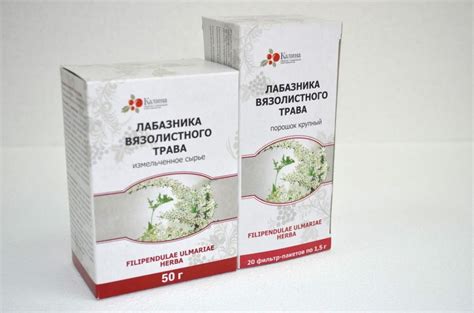 Лабазник: рецепты, лечебные свойства, противопоказания