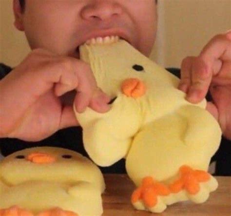 하찮은 짤 모음 인스티즈 Instiz 일상 카테고리