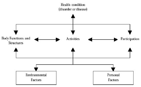 The Different Components In Icf And Their Interactions Download