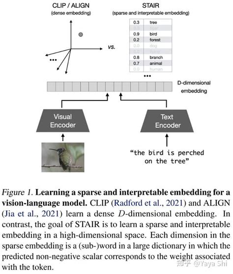 [论文阅读] stair learning sparse text and image representation in grounded