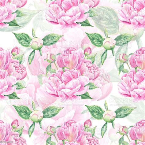 수채화 이음매 없는 패턴 모란은 섬유 웨딩 포장 휴일 및 자연 디자인 초대장에 사용하기 위해 식물 스타일로 손으로 그렸습니다 데이지 꽃 장식 카드 벽지 직물 개화기에 대한