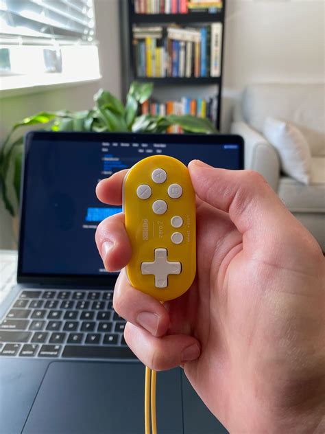 how to set up the 8bitdo controller for anki in medical school macos
