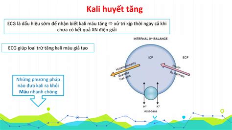 Cấp Cứu Tăng Kali Máu Hyperkalemia Emergency Ppt