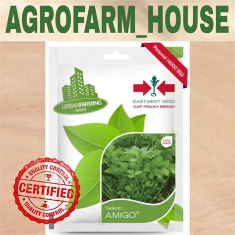Jual Benih Sledri Amigo Baca Deskripsi Shopee Indonesia